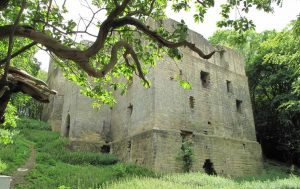 Harewood Castle - Britain's Castles